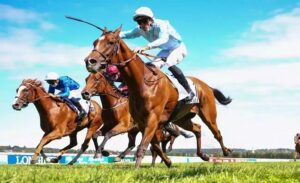Faso Top PMU: Your Burkina Faso Horse Racing Hub - Fideleturf High ...