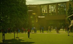 Everything You Need to Know About Google Turf: A Complete Guide - Fideleturf High-Quality ...